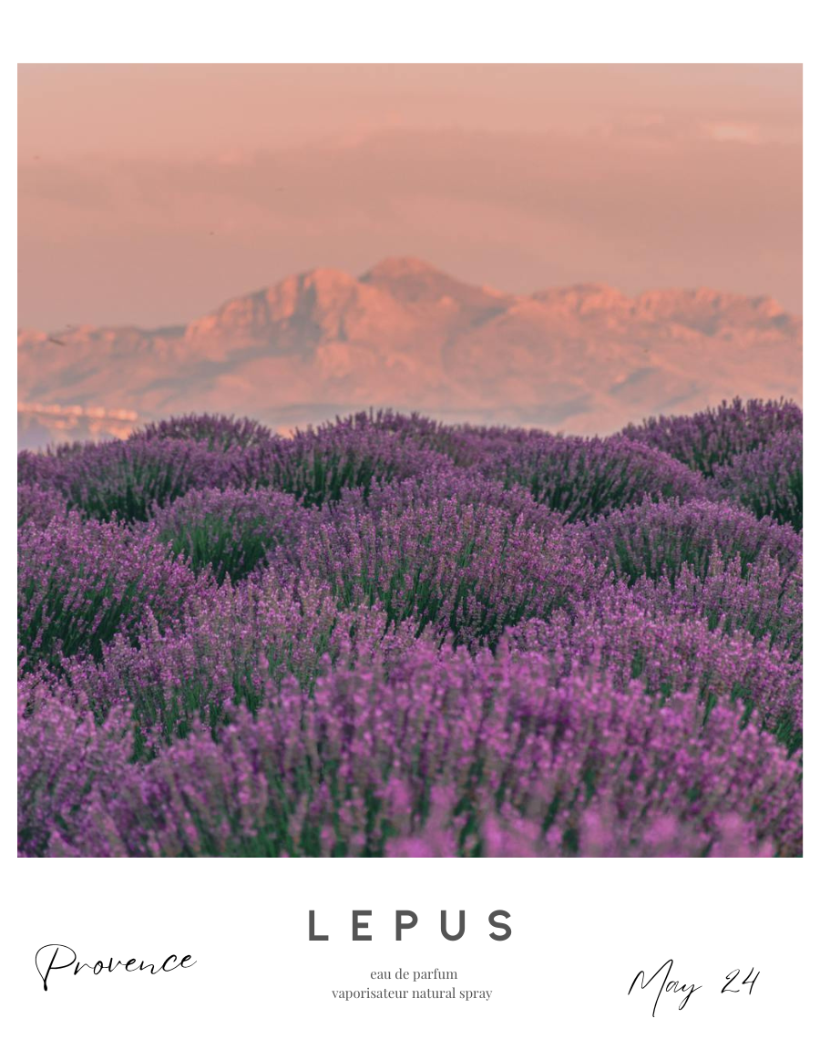 LEPUS – Piper & Perro